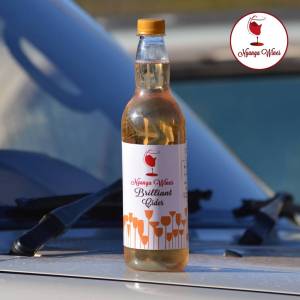 Brilliant Cider (Apple Wine) 750ml: pics and very short clips – Nyanga ...
